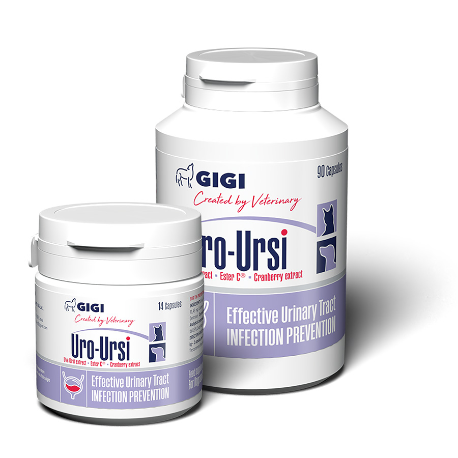 GiGi VET УКРАЇНА