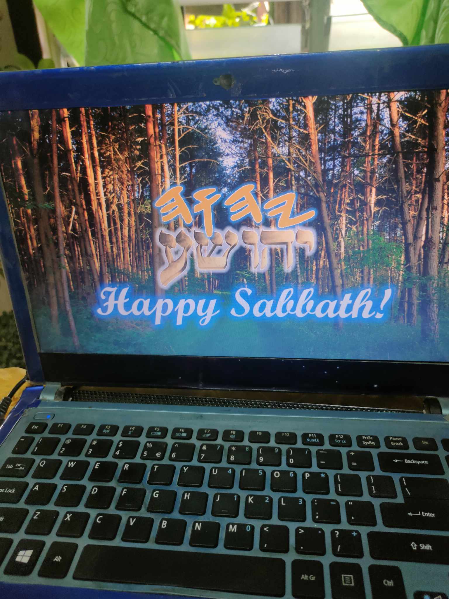 Yahweh's Assembly in Rabbi Yahshua Messiah