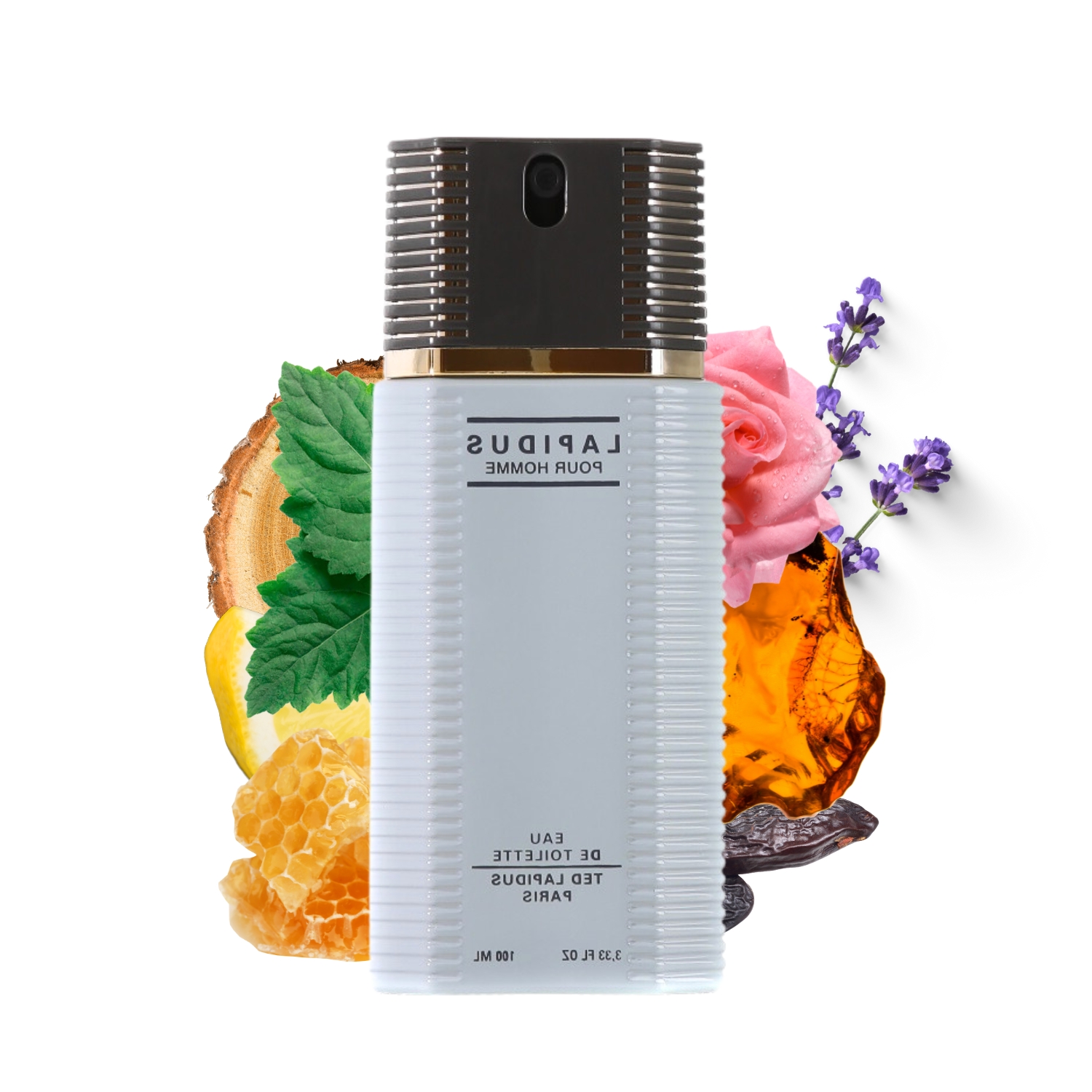 Perfumer Archive