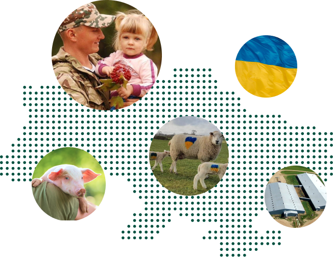 Family Farms | Підтримка ветеранів війни